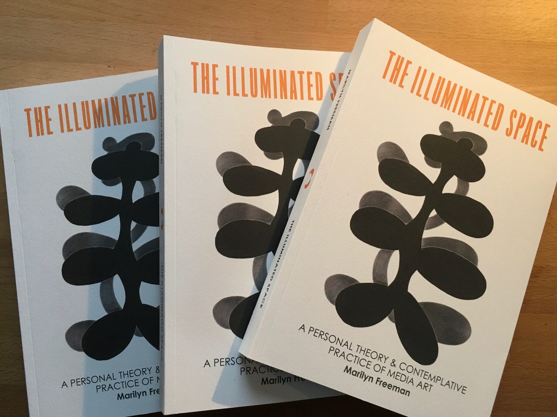 The Illuminated Space - M Freeman