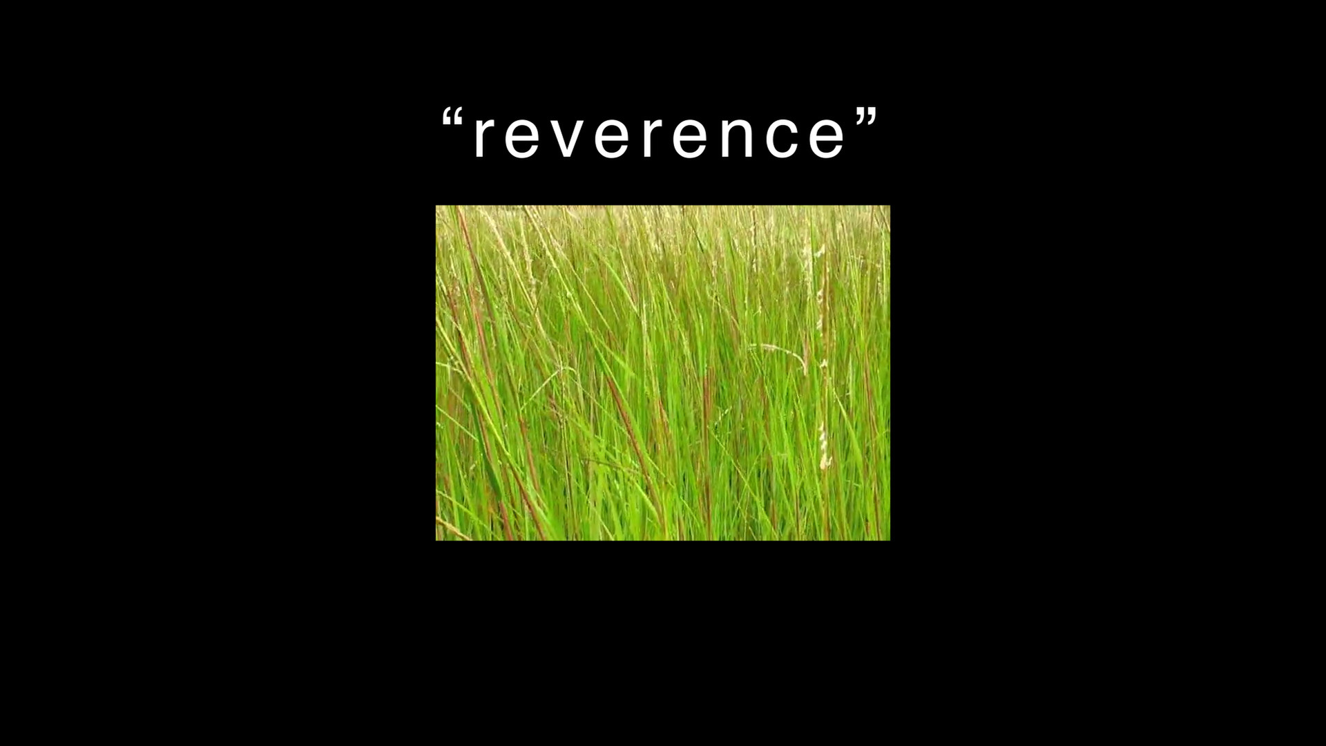 "reverence" makes its U.S. premiere at Seattle's Cadence Video Poetry ...
